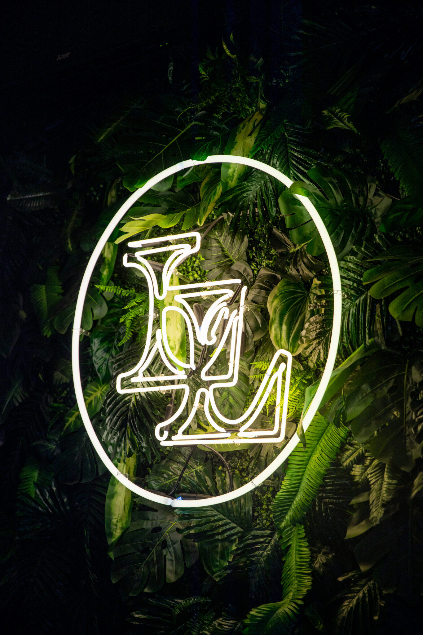 First Look: Lotus Lounge brings tropical flair and intimate vibe to ...