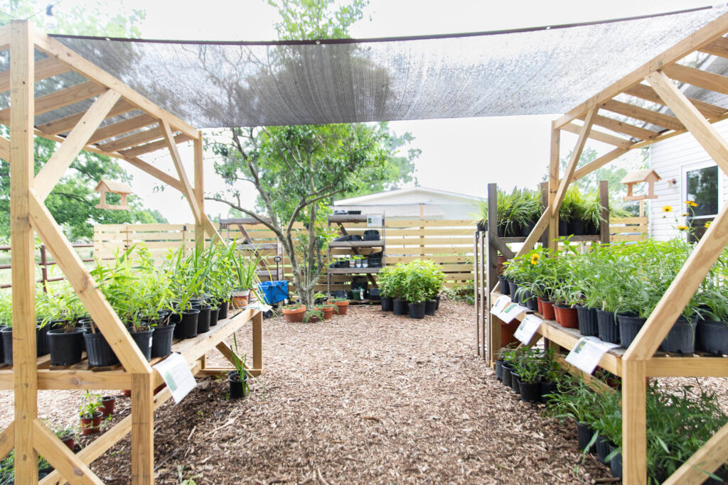 Where to shop for plants in greater Baton Rouge - [225]