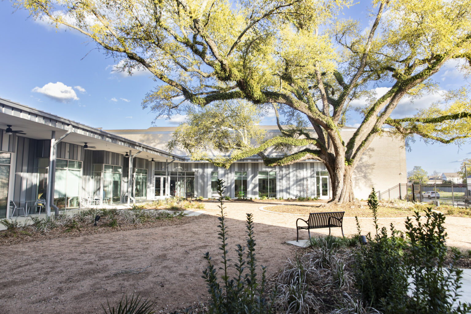 A guide to libraries in greater Baton Rouge - [225]