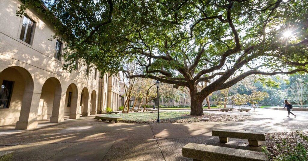 See where LSU placed on the latest ‘Wall Street Journal’ best colleges ...